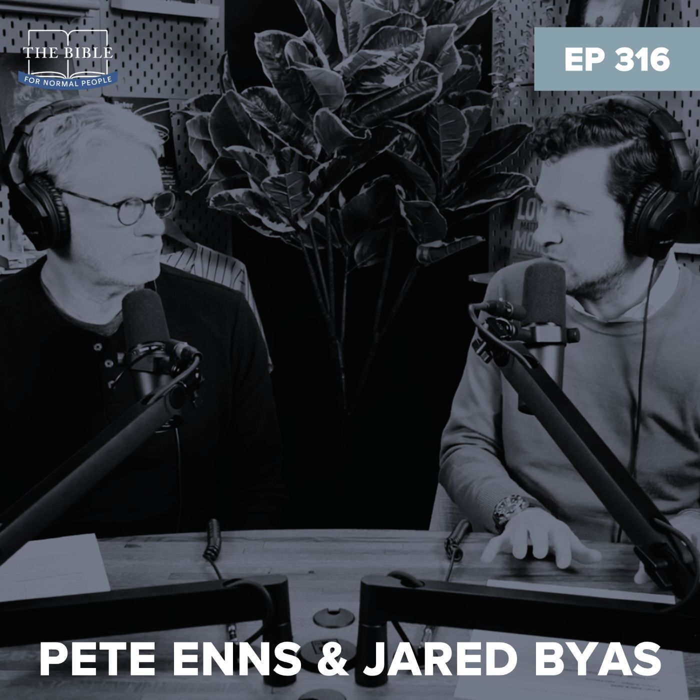 Episode 316: Pete Enns & Jared Byas - Is the Bible the Word of God? & Other Easy Questions - The ...